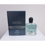 Buy Spectra Strong Feelings 249 Perfumes For Men by Mini Spectra ...