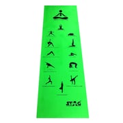 Buy Yoga Mat Green Asana Online in UAE | Sharaf DG